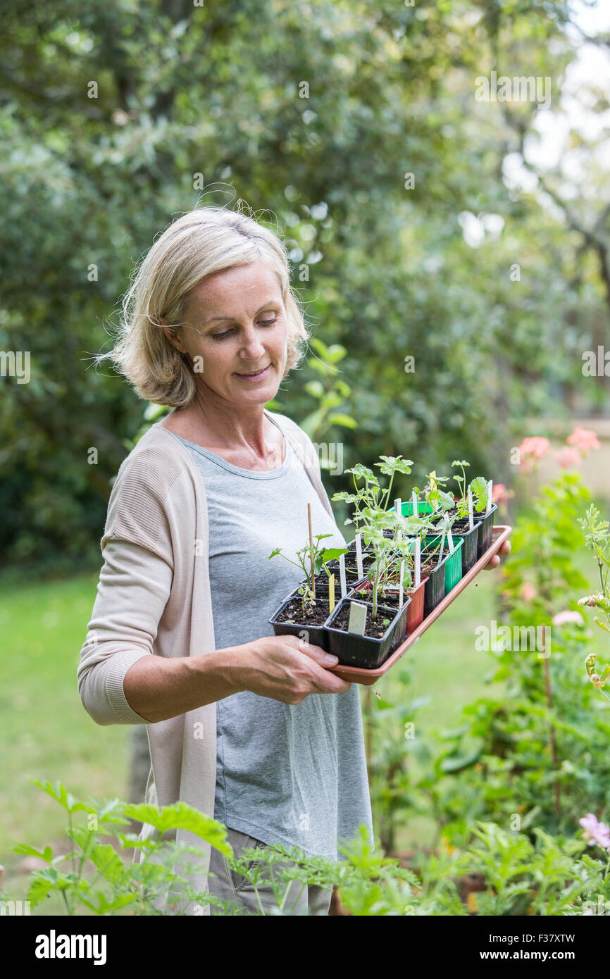 Woman gardening in her vegetable garden Stock Photo - Alamy