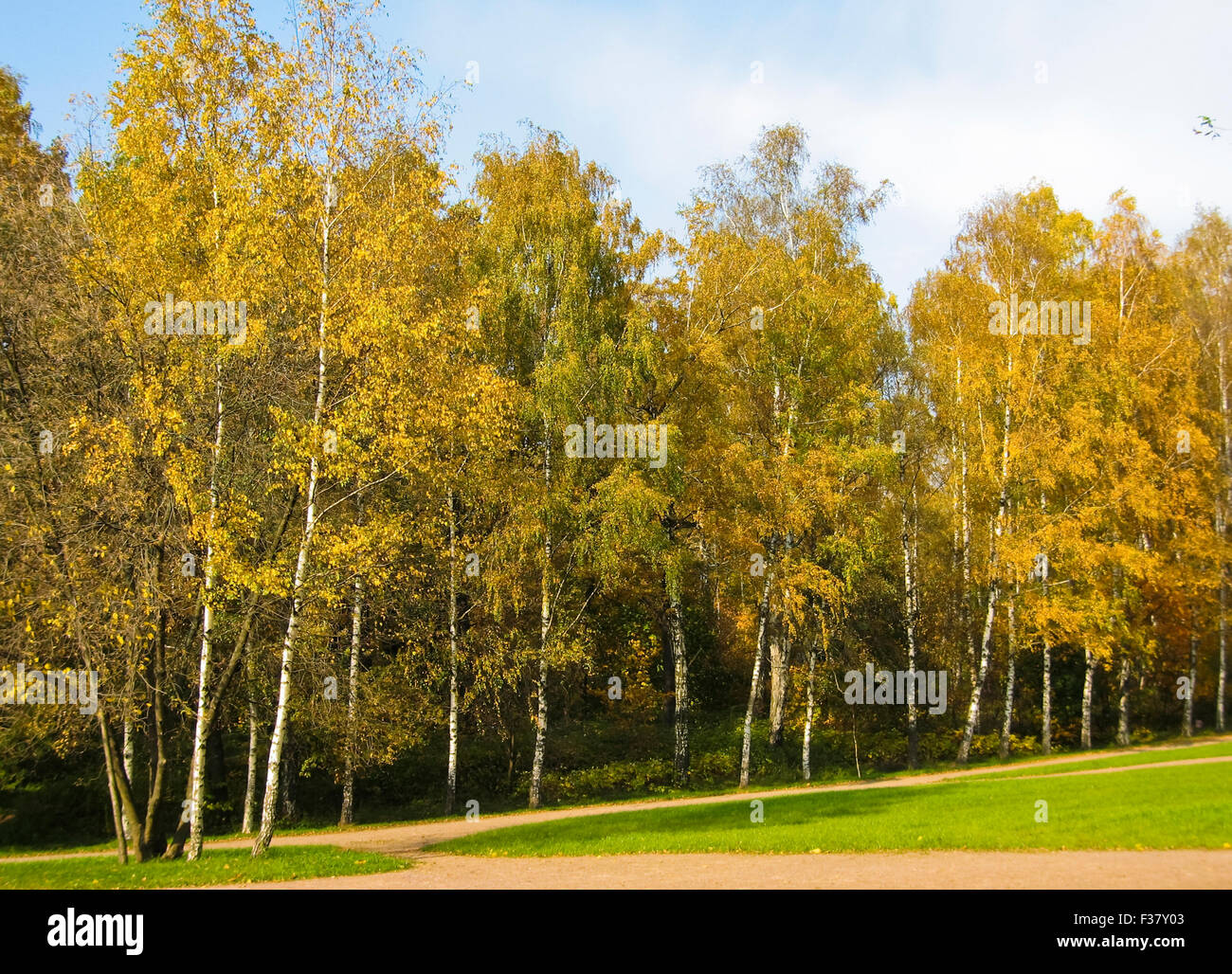 Landscape Horizontal Orientation Stock Photos & Landscape Horizontal ...