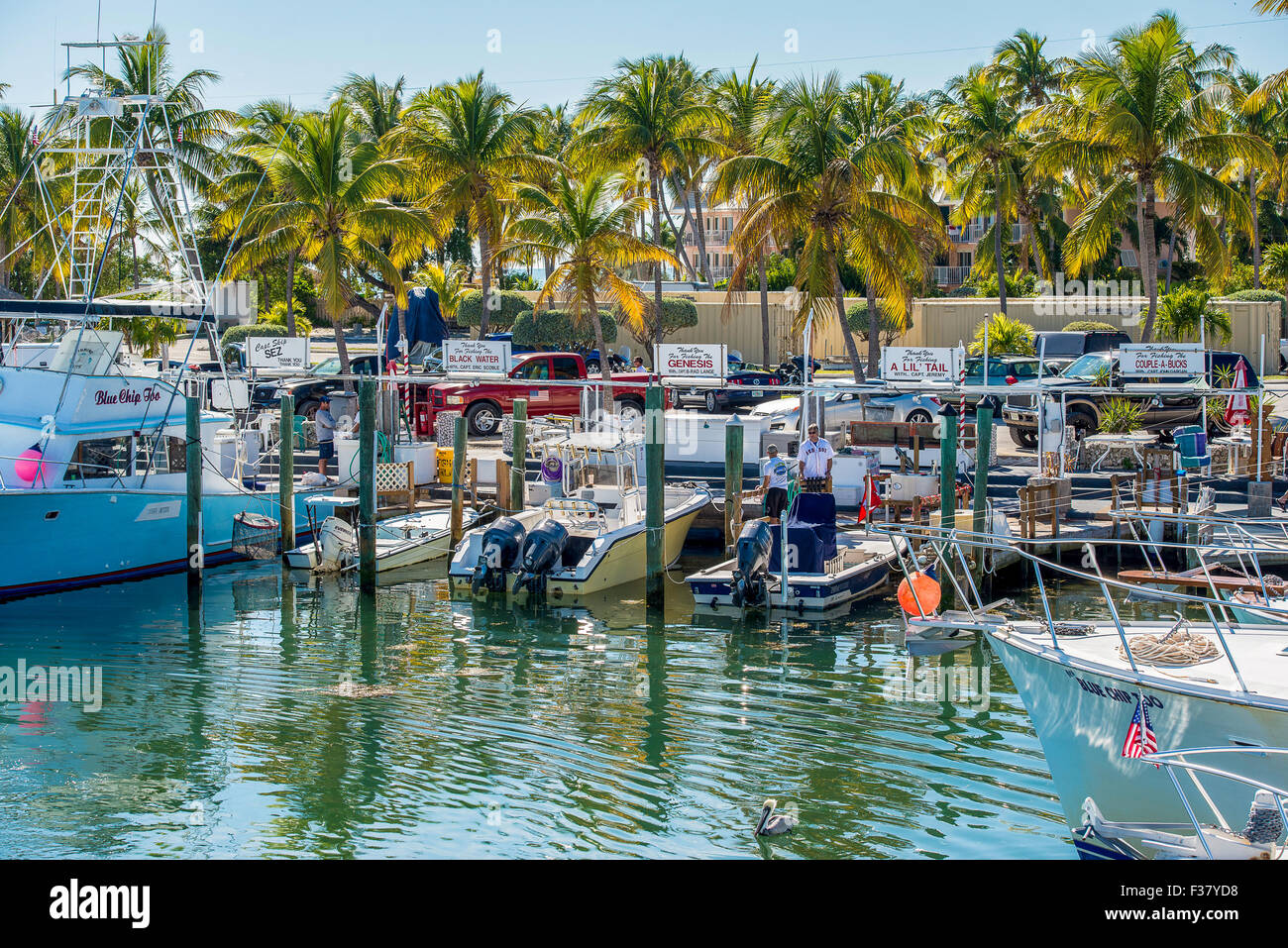 Key Largo harbour Stock Photo - Alamy