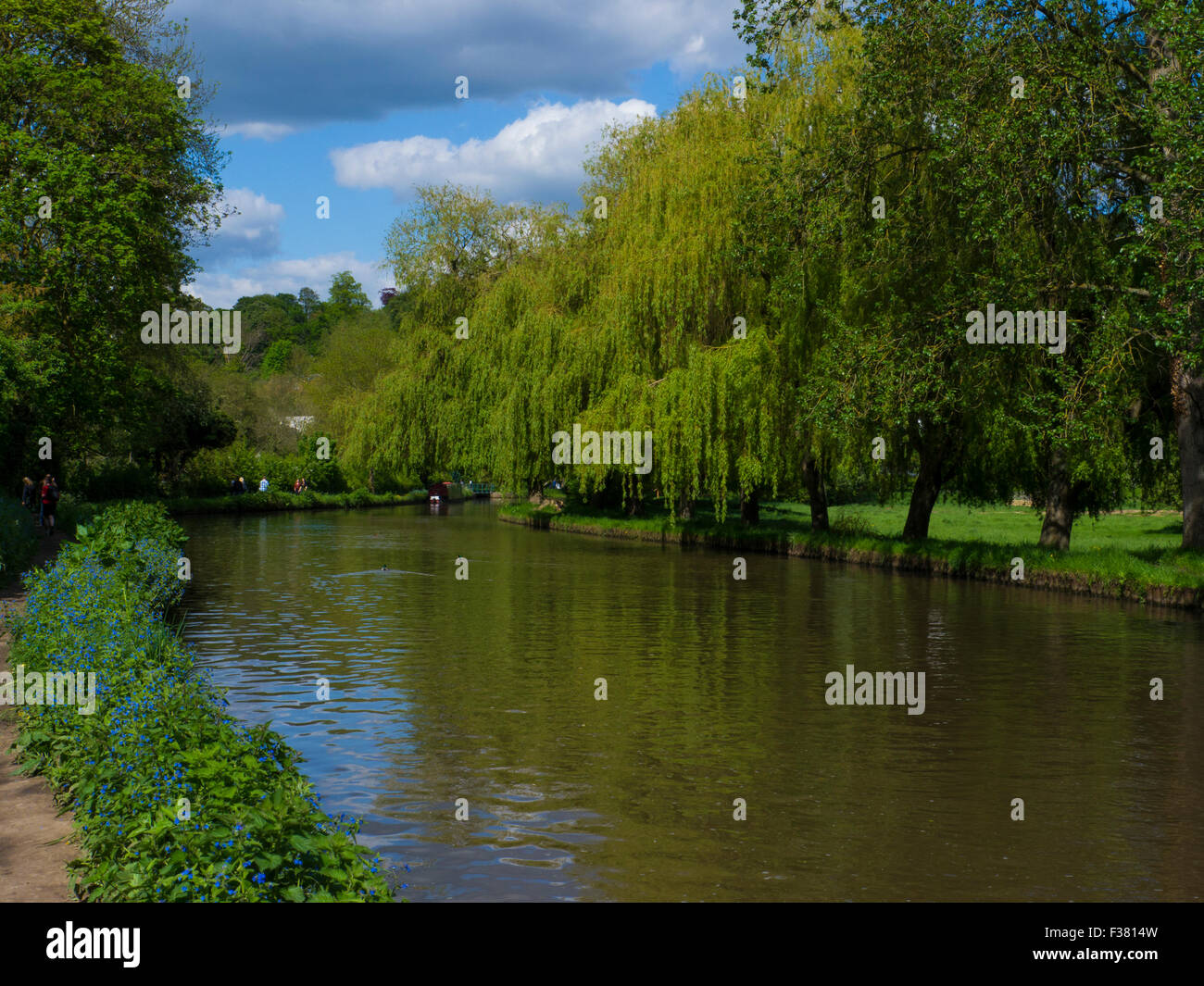 Boating on the River Wey at Guildford ,Surrey England Stock Photo - Alamy