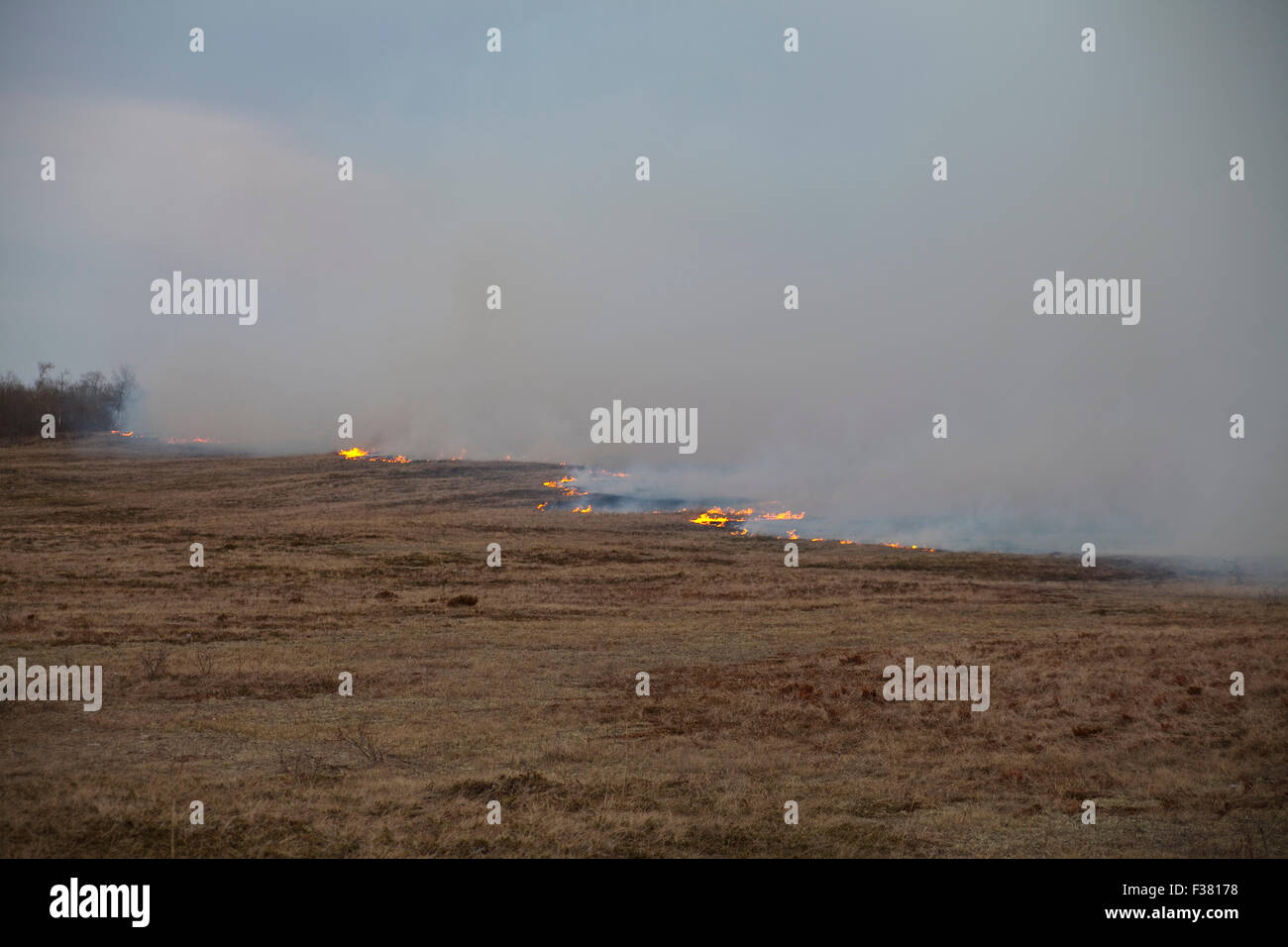 Rural Fire Departments battle a wildfire Stock Photo - Alamy