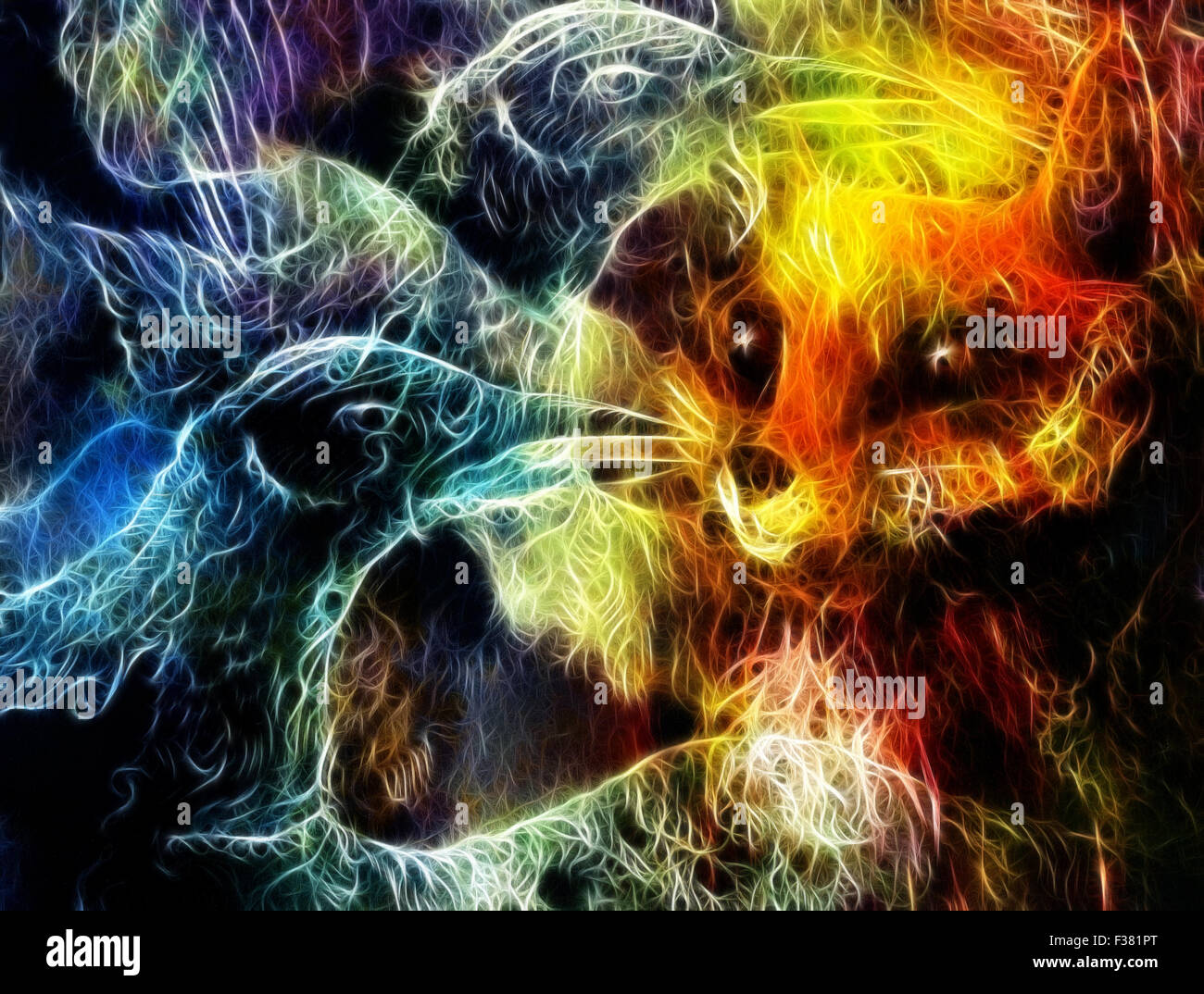 Phoenix effect hi-res stock photography and images - Alamy
