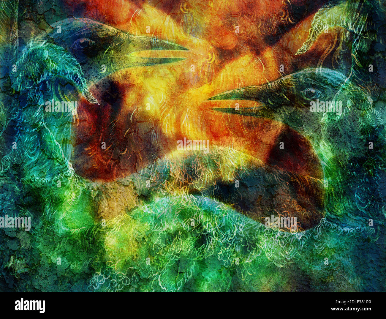 Bird collage hi-res stock photography and images - Alamy