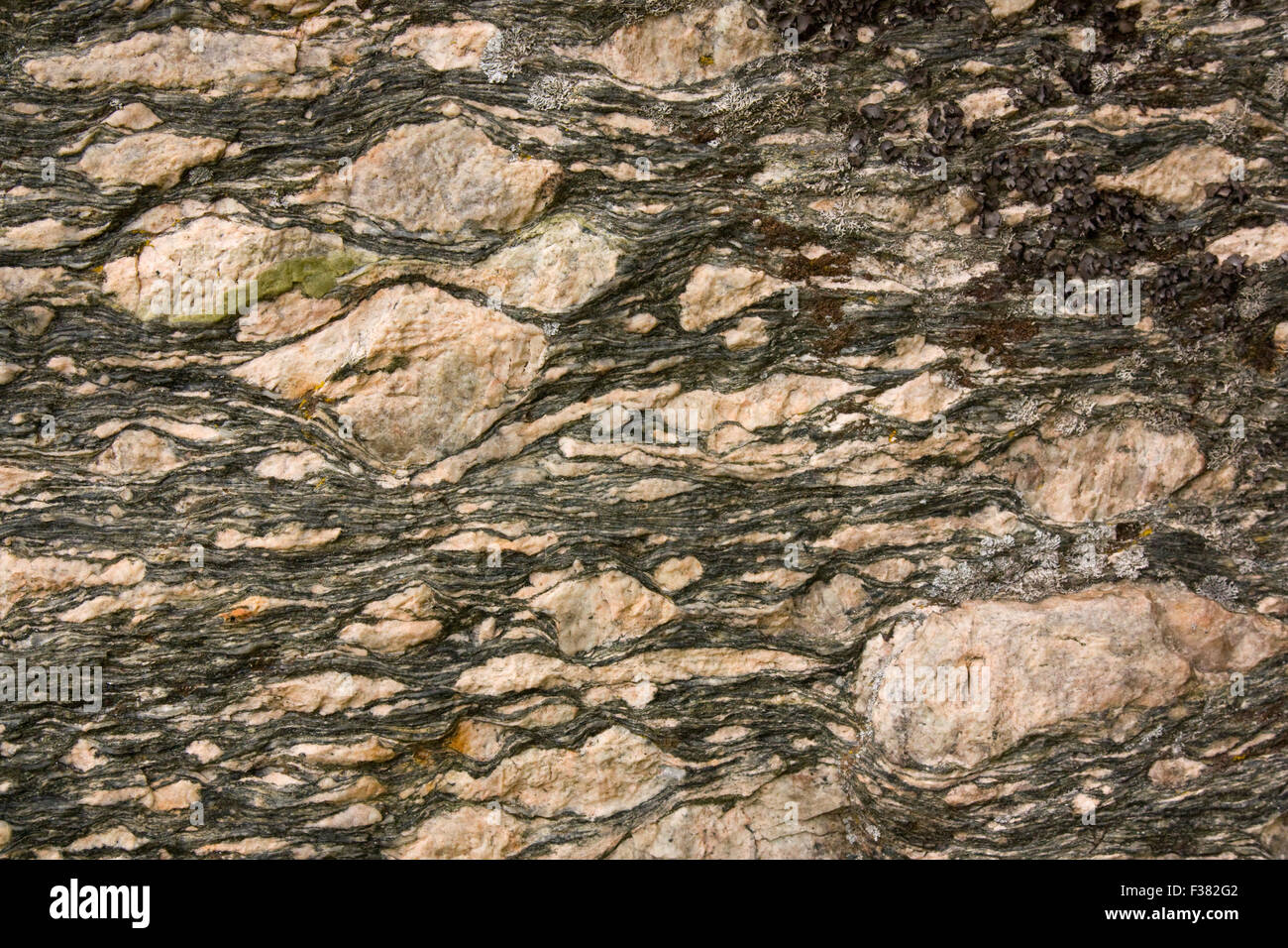Mylonite with K-feldspar porphyroblasts Stock Photo - Alamy