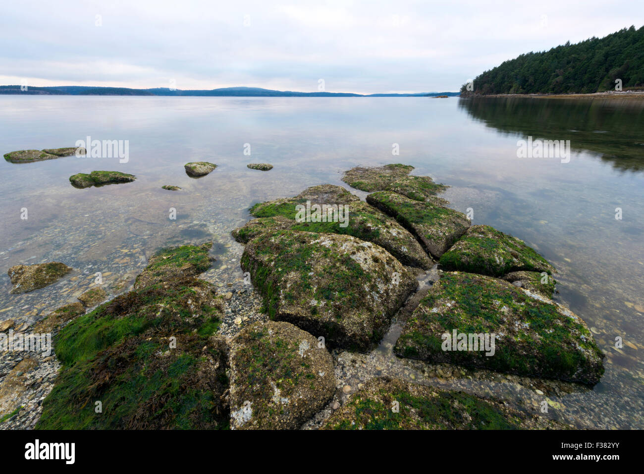 Tide out beach hi-res stock photography and images - Alamy