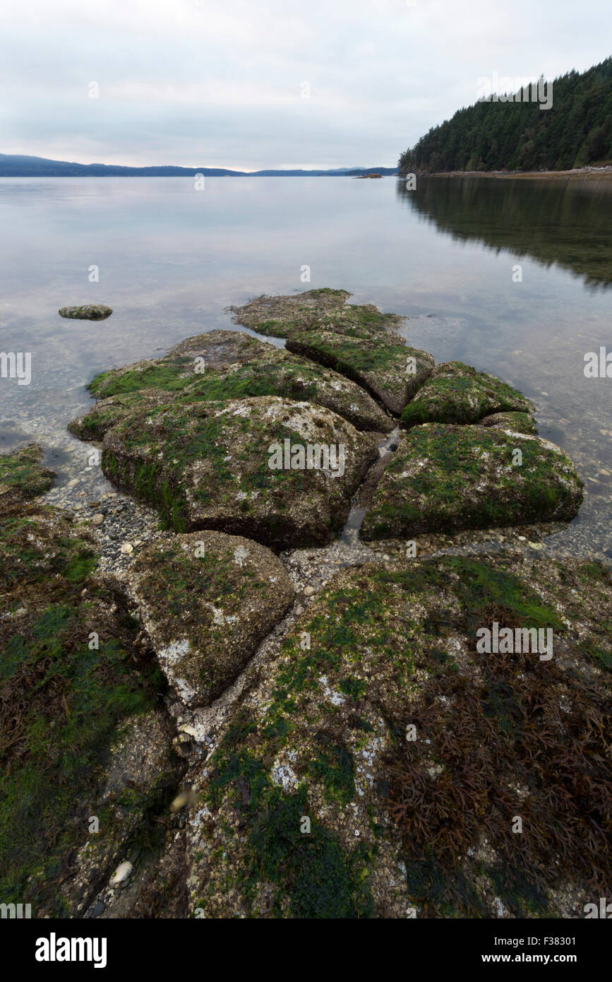Tide out beach hi-res stock photography and images - Alamy