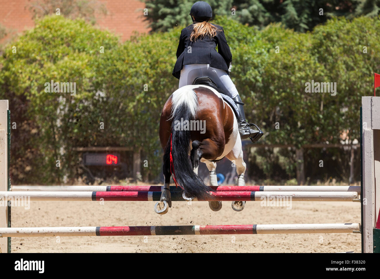 Equine competitions hi-res stock photography and images - Alamy