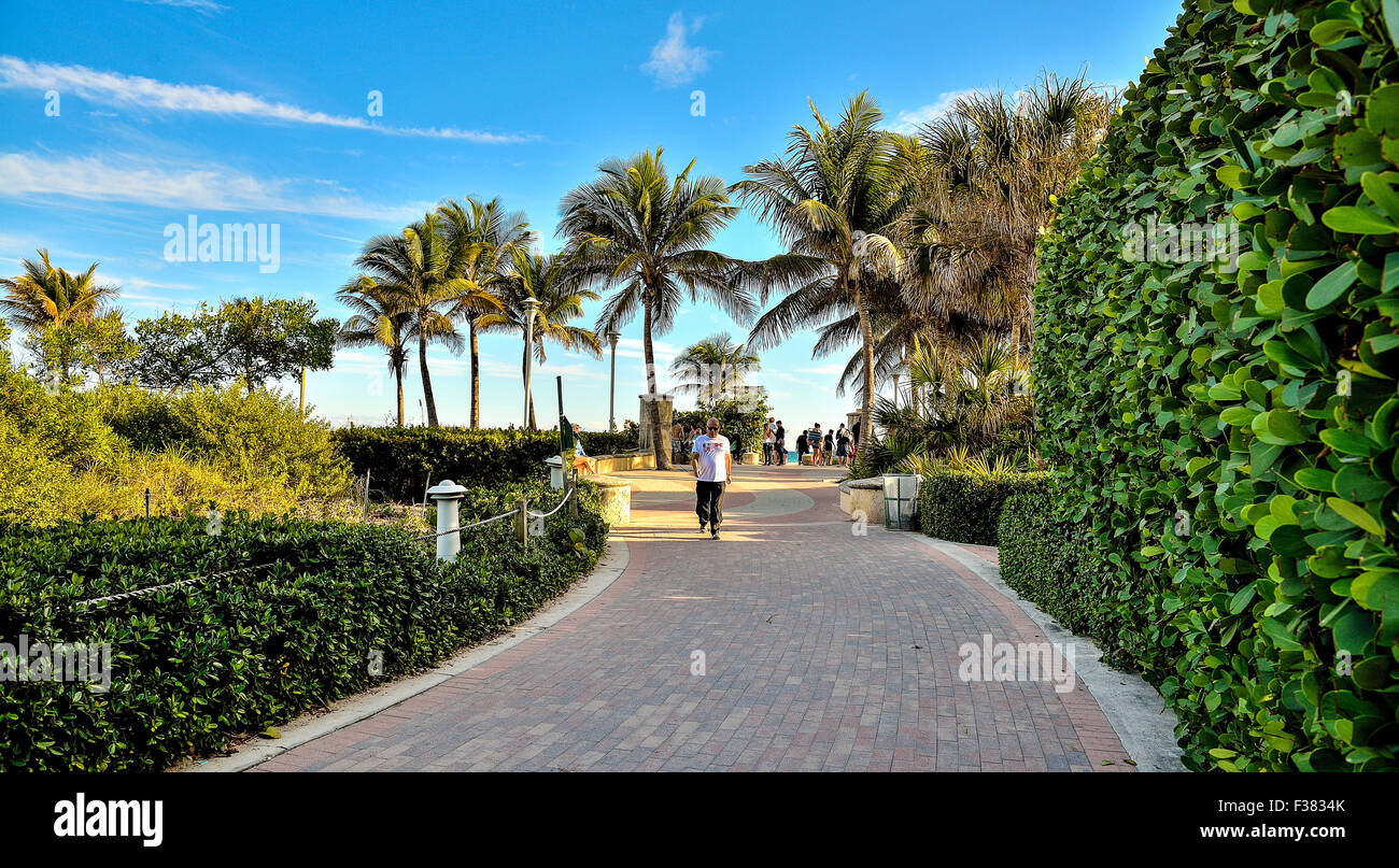 Florida Miami Beach Seafront Promenade Stock Photo - Alamy