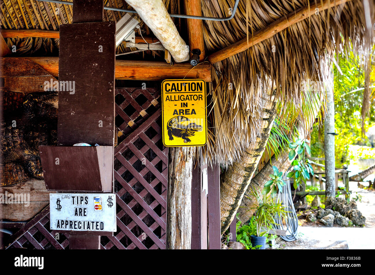 Florida Everglades entrance to an airboat point Stock Photo - Alamy