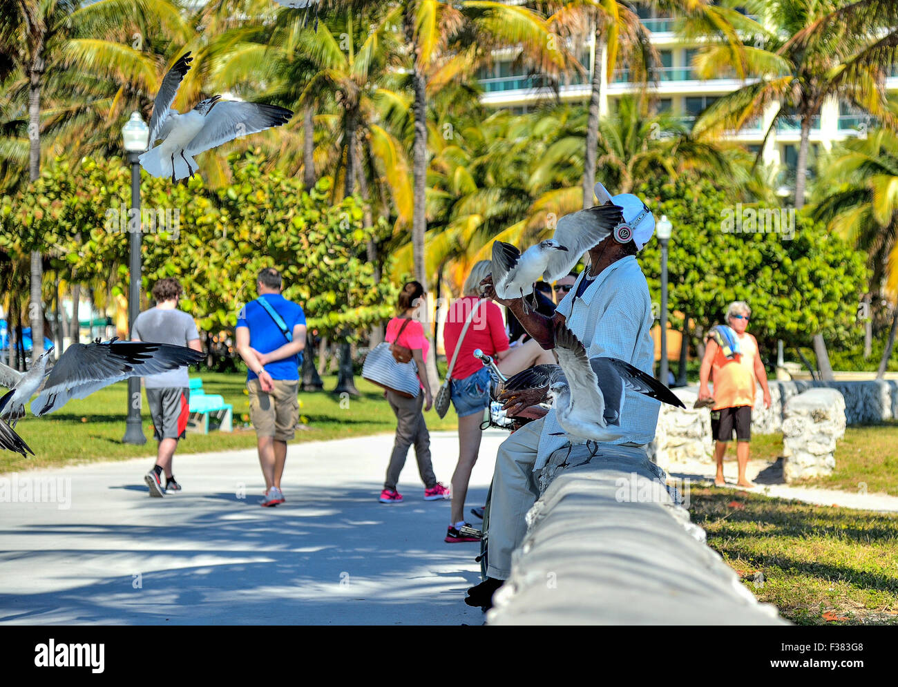 Florida miami beach seafront promenade hi-res stock photography and ...