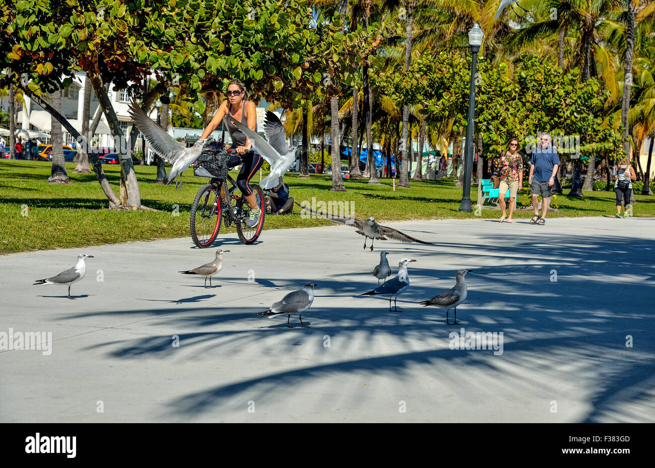 Florida Miami beach Seafront Promenade Stock Photo - Alamy