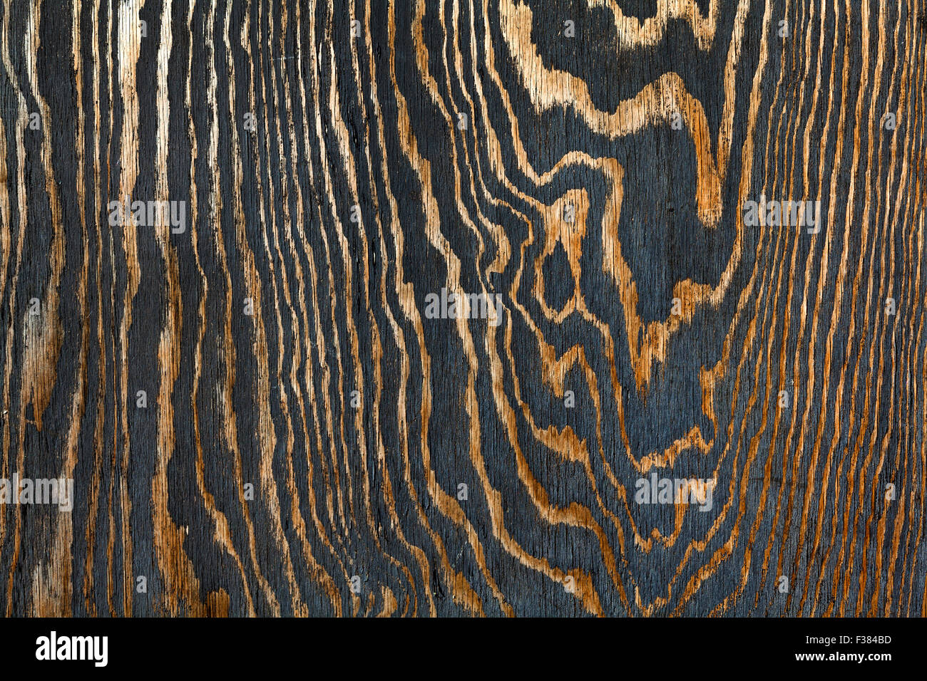 Tree bark swirls hi-res stock photography and images - Alamy