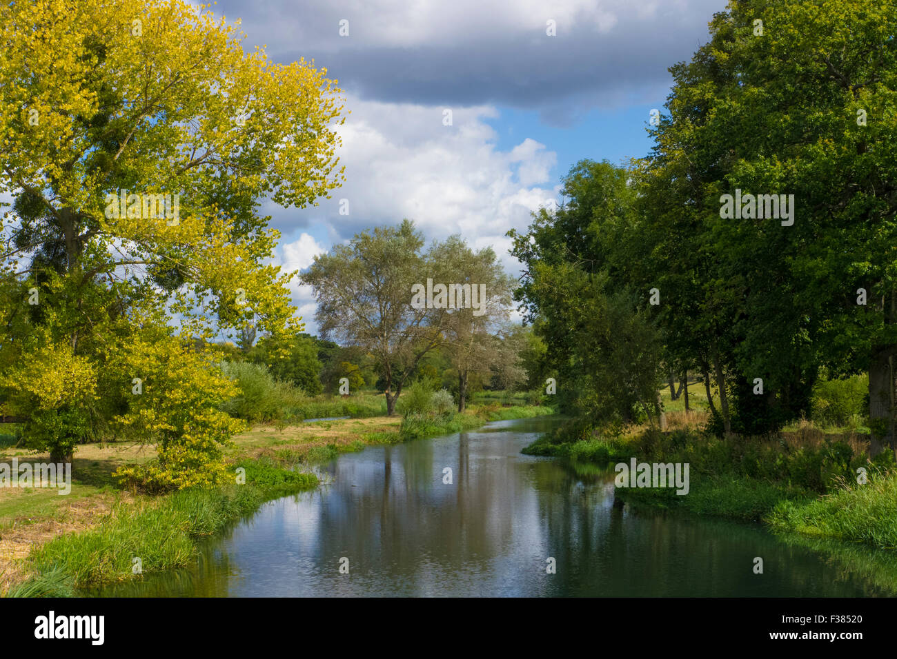 Summer landscape of River Loddon at Stratfield Saye Park ,Hampshire ...