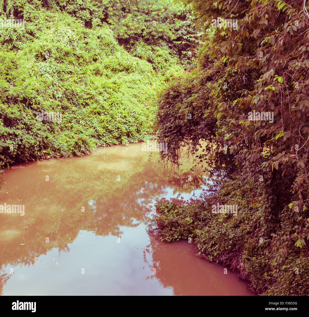 the rivulet in the jungle, vintage toning Stock Photo - Alamy