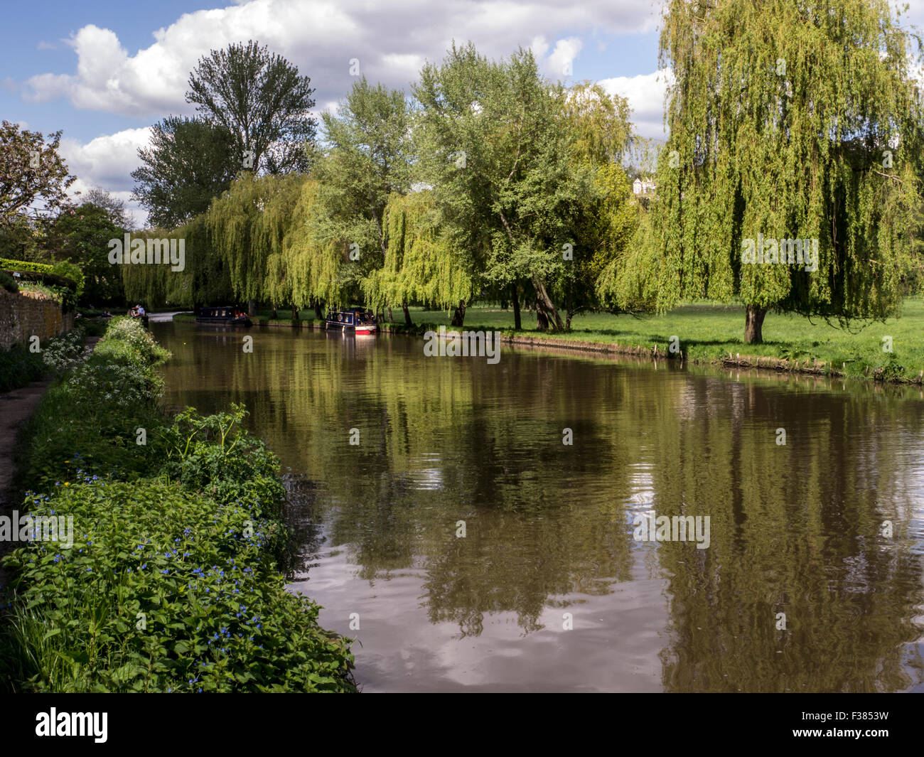 Boating on the River Wey at Guildford, Surrey England Stock Photo - Alamy