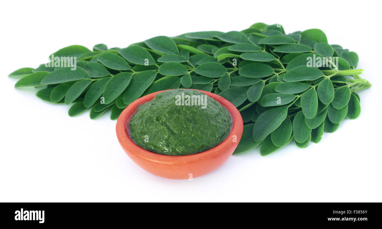 Edible moringa leaves with ground paste over white background Stock ...