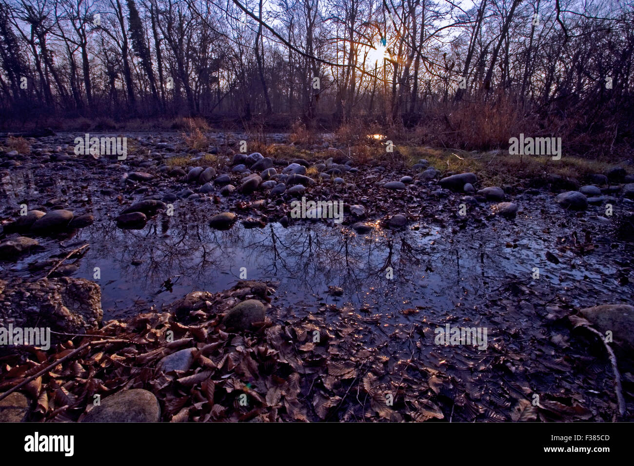 stone rock autumn lake and marsh moor marshy in the north of italy ...
