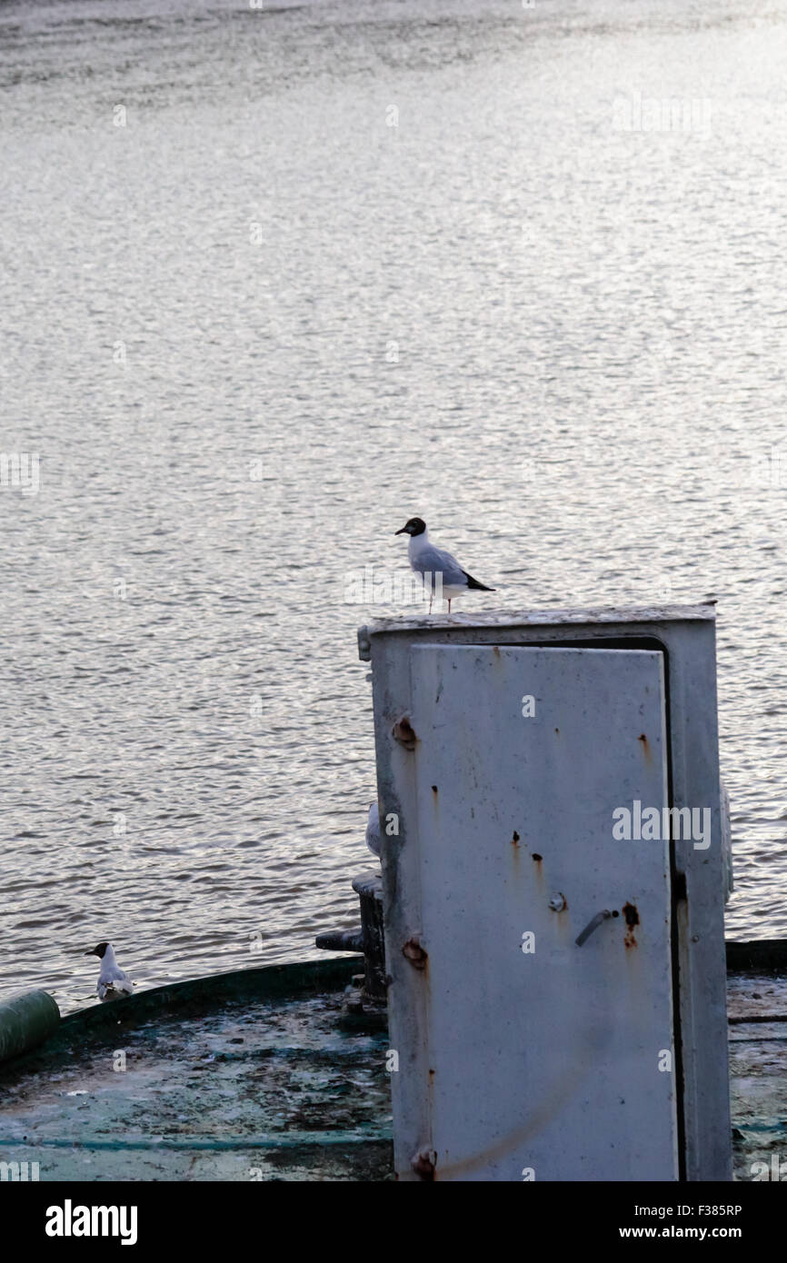 Empty shipyard hi-res stock photography and images - Alamy