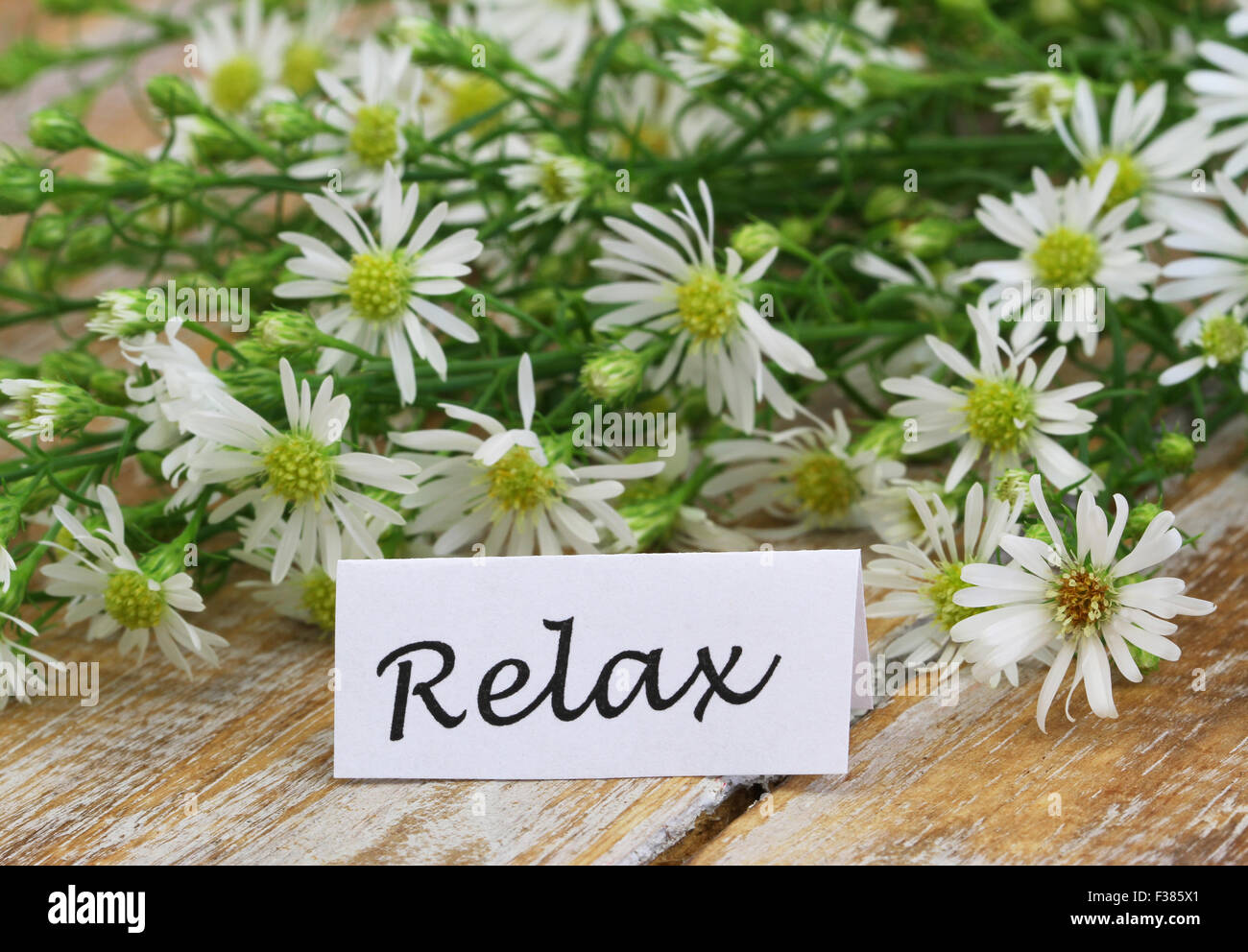 Relax card with fresh chamomile flowers on rustic wooden surface Stock ...