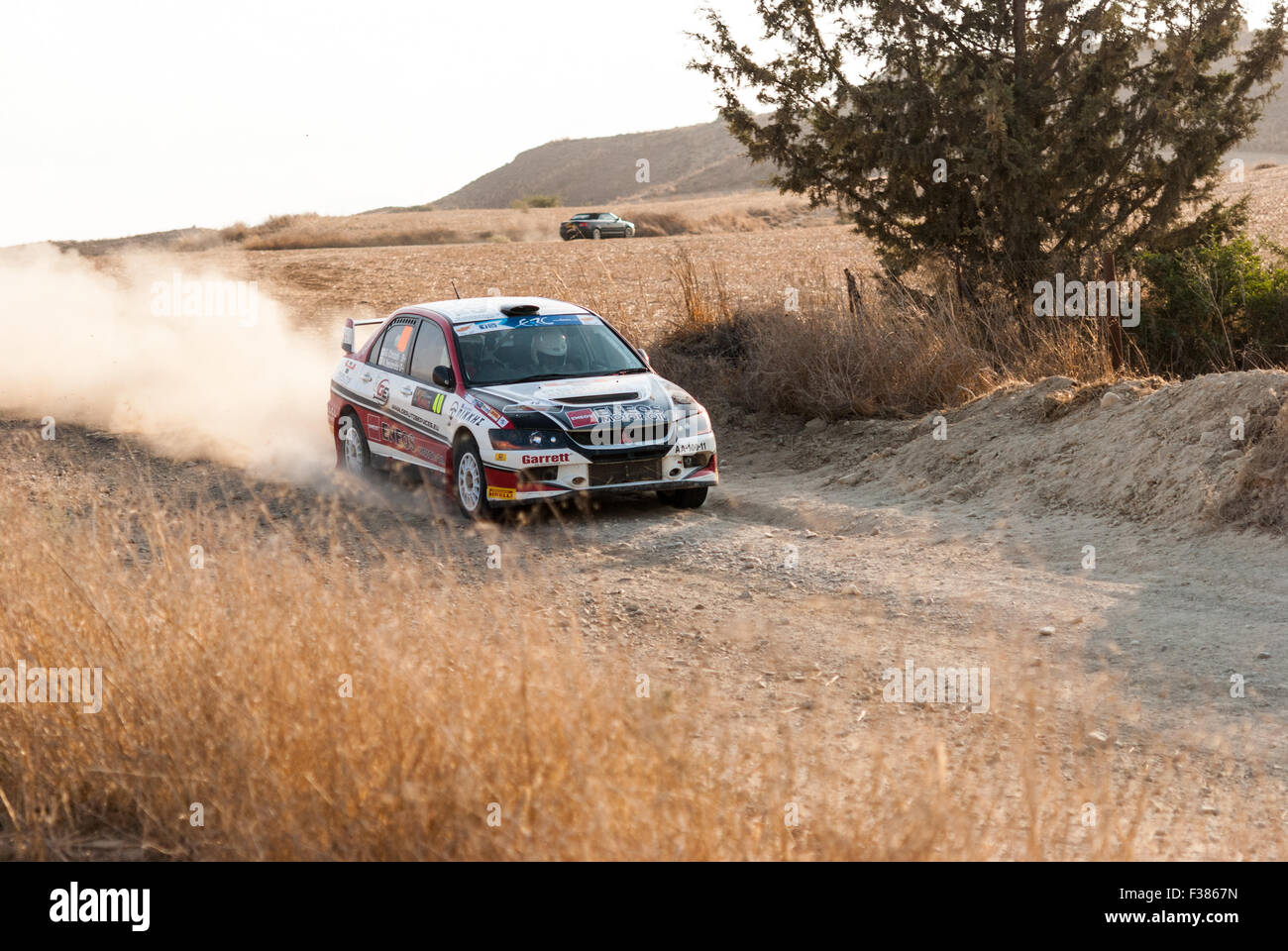 Nestorides hi-res stock photography and images - Alamy