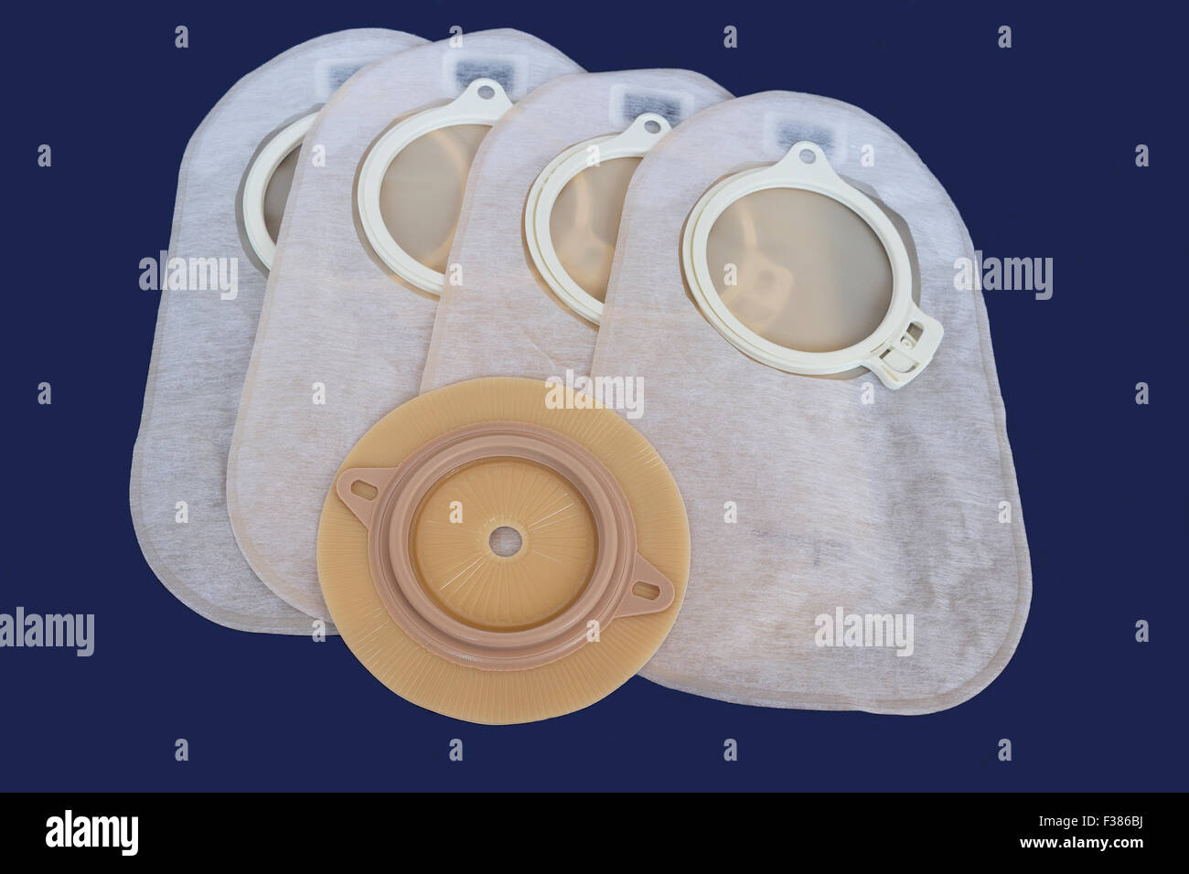 Stoma hi-res stock photography and images - Alamy