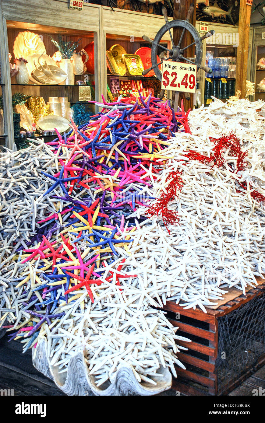 Florida Key West Shell Warehouse Stock Photo - Alamy