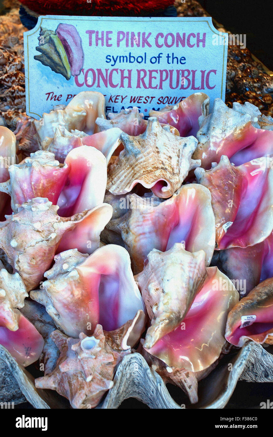 Florida Key West "the pink conch Stock Photo - Alamy