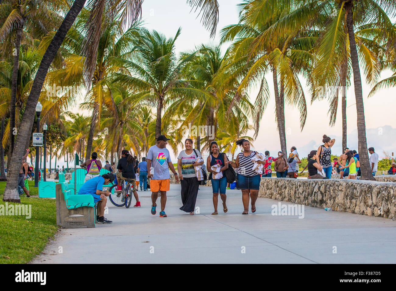 Florida miami beach seafront promenade hi-res stock photography and ...