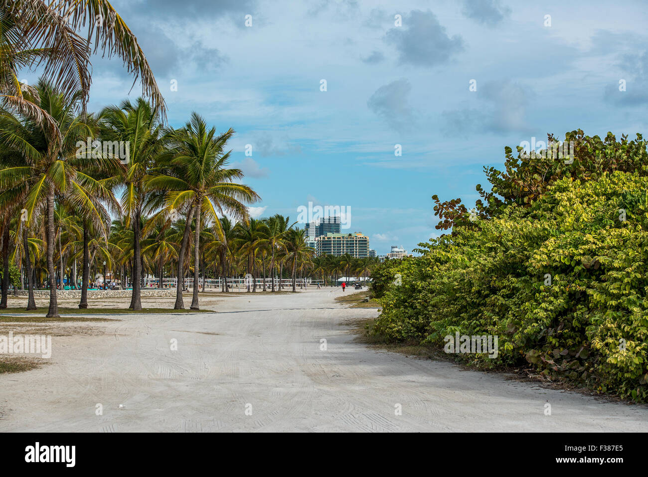 Florida Miami Beach Seafront promenade Stock Photo - Alamy