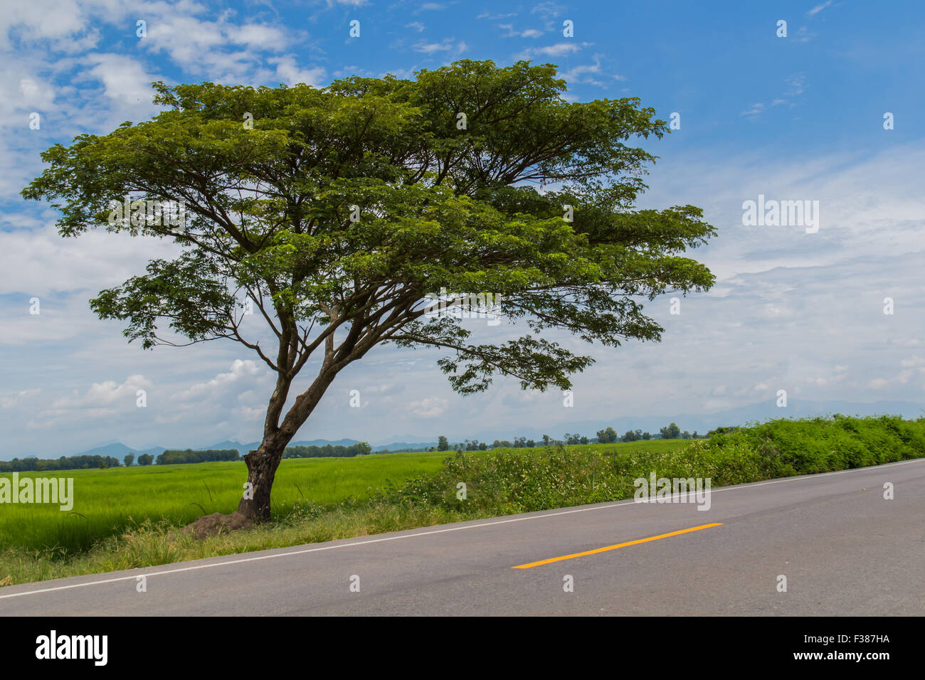 Arbour road hi-res stock photography and images - Alamy