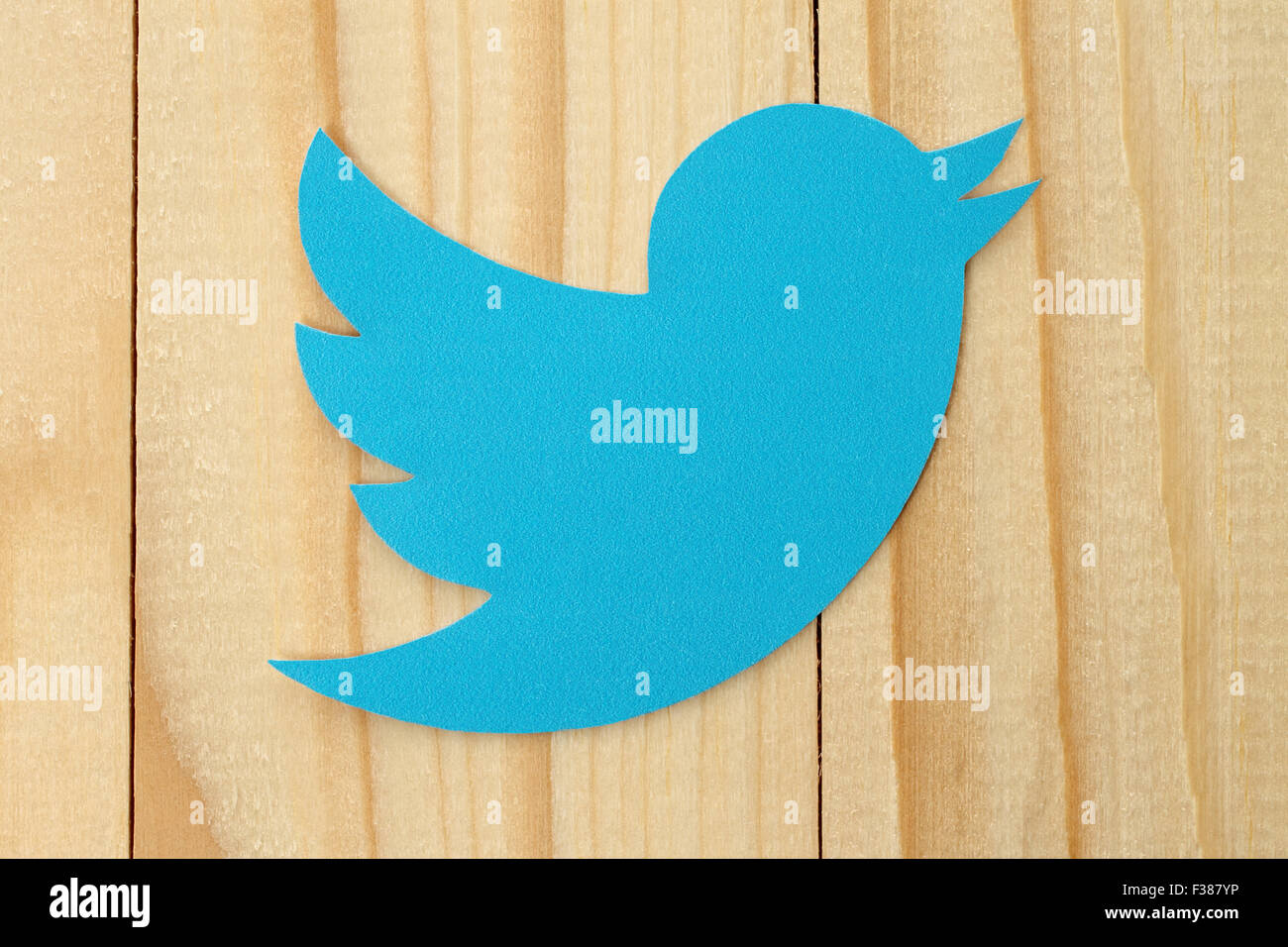 KIEV, UKRAINE - FEBRUARY 19, 2015:Twitter logotype bird printed on ...