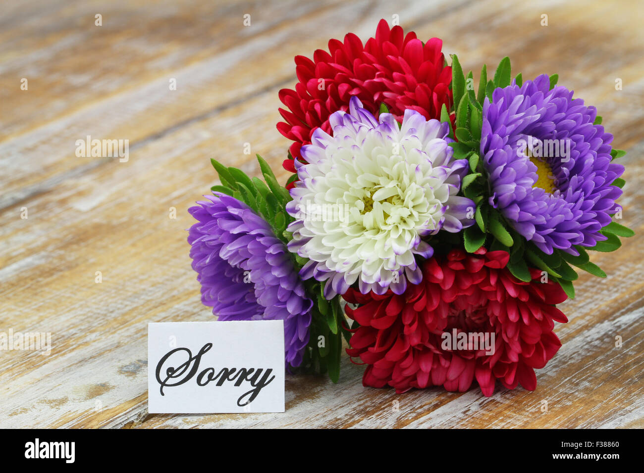 Sorry card with colorful aster bouquet on rustic wooden surface Stock ...