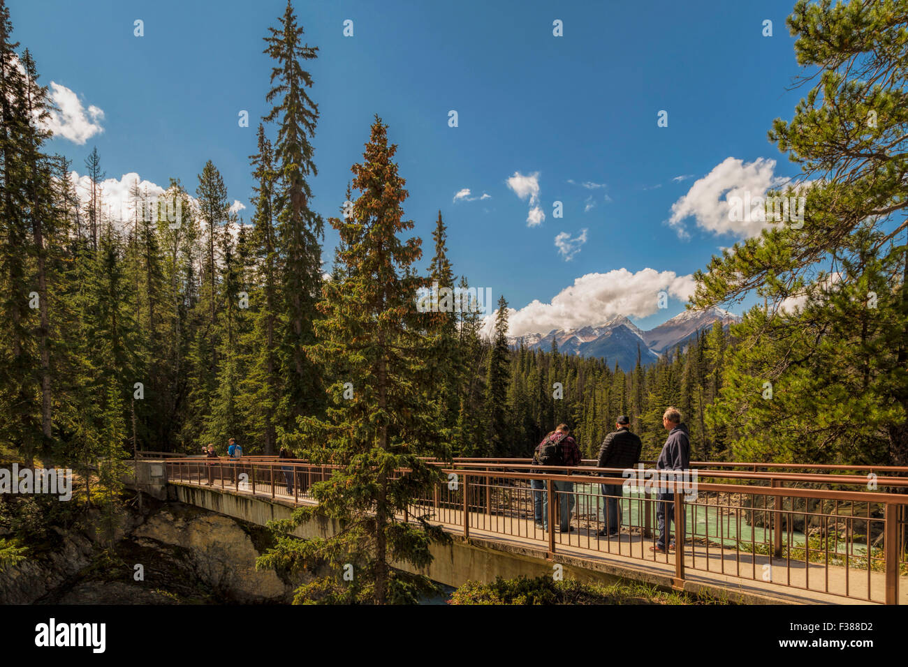 Natural Bridge at Kicking Horse River, in Yoho National Park, Rocky ...