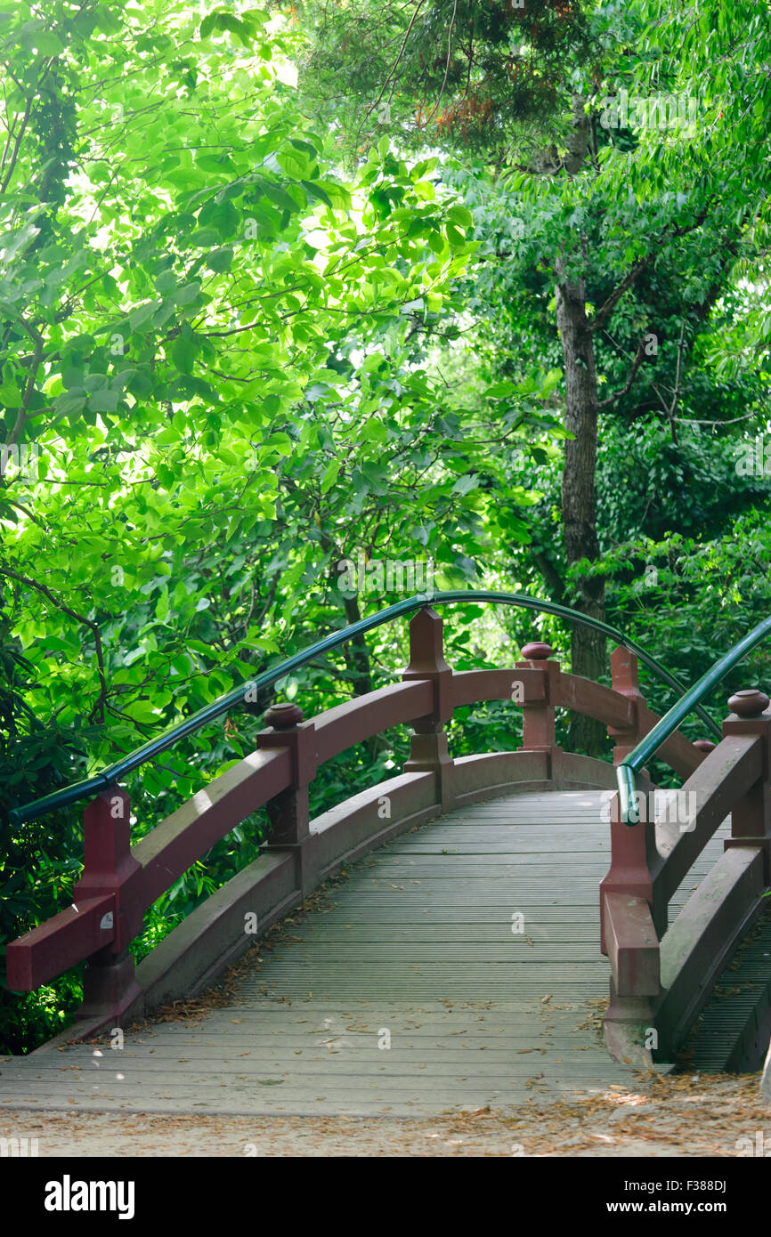 Botanical garden tree plants hi-res stock photography and images - Alamy