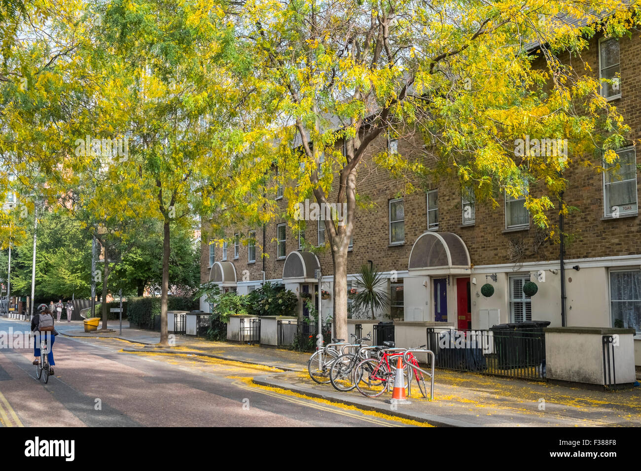Mountain ash trees hi-res stock photography and images - Alamy