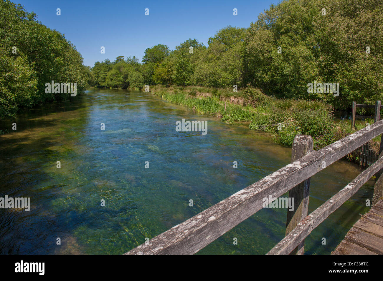 The River Itchen flows from mid-Hampshire to join with Southampton ...
