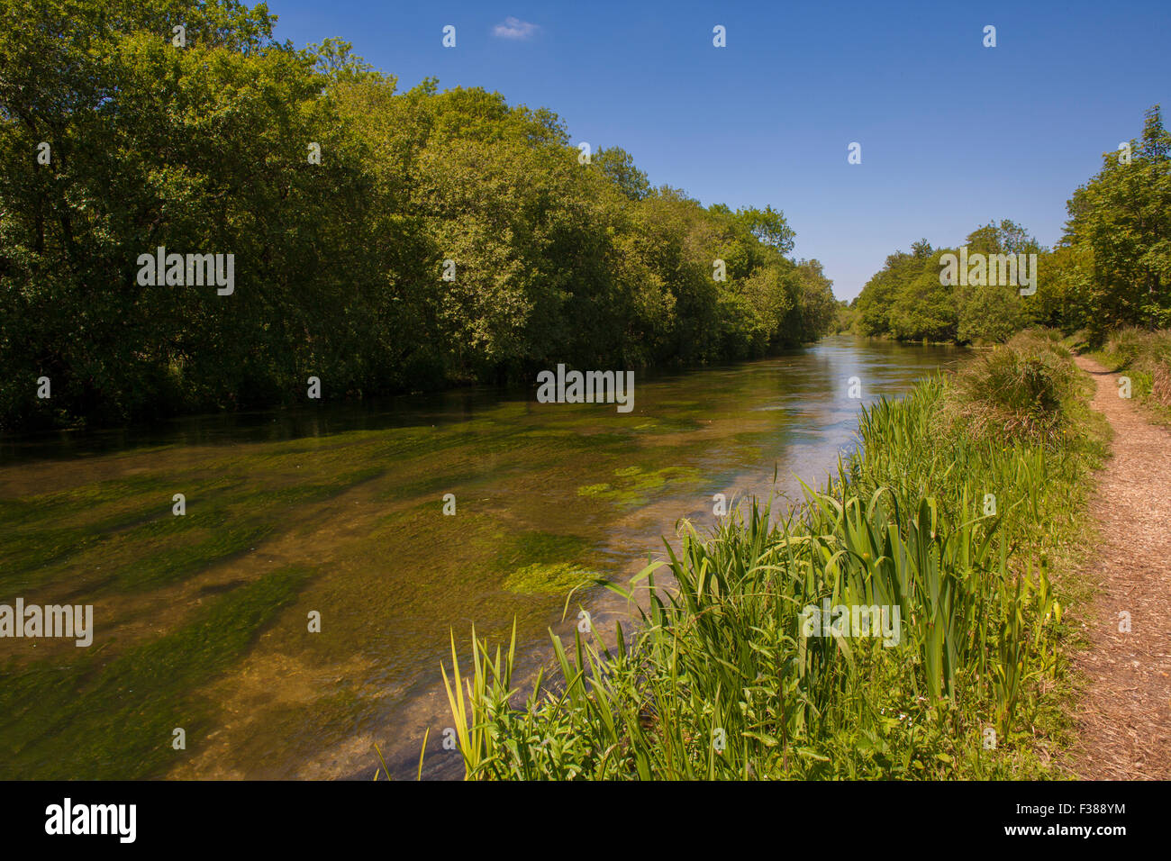 The River Itchen flows from mid-Hampshire to join with Southampton ...