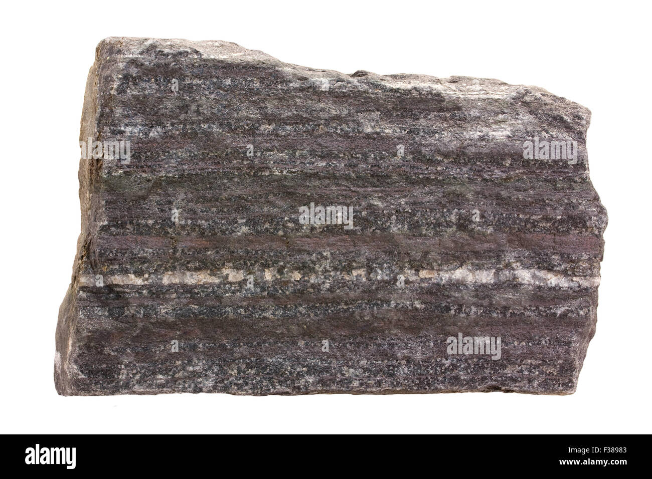 Bif High Resolution Stock Photography and Images - Alamy