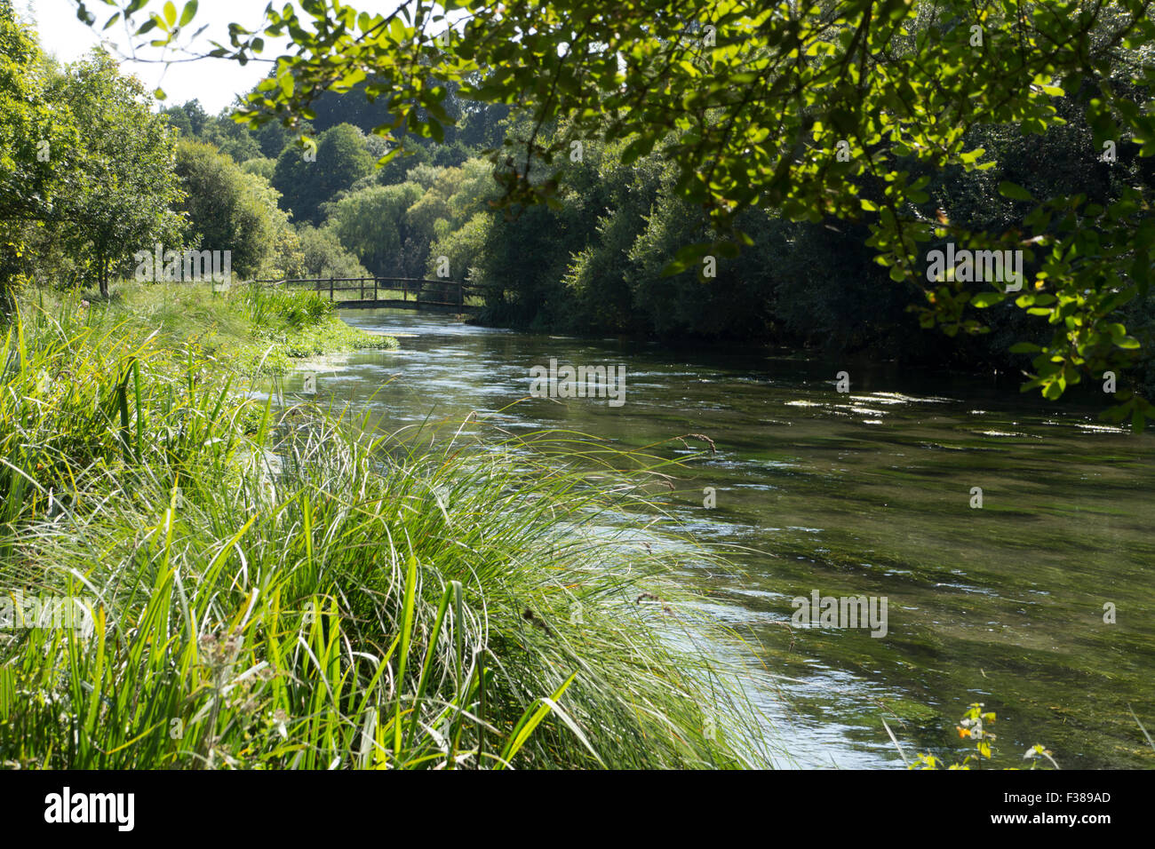 The River Itchen flows from mid-Hampshire to join with Southampton ...