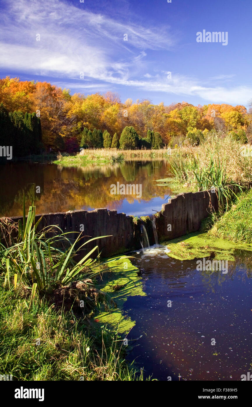A pond reflects the fall color at the University of Minnesota Landscape ...