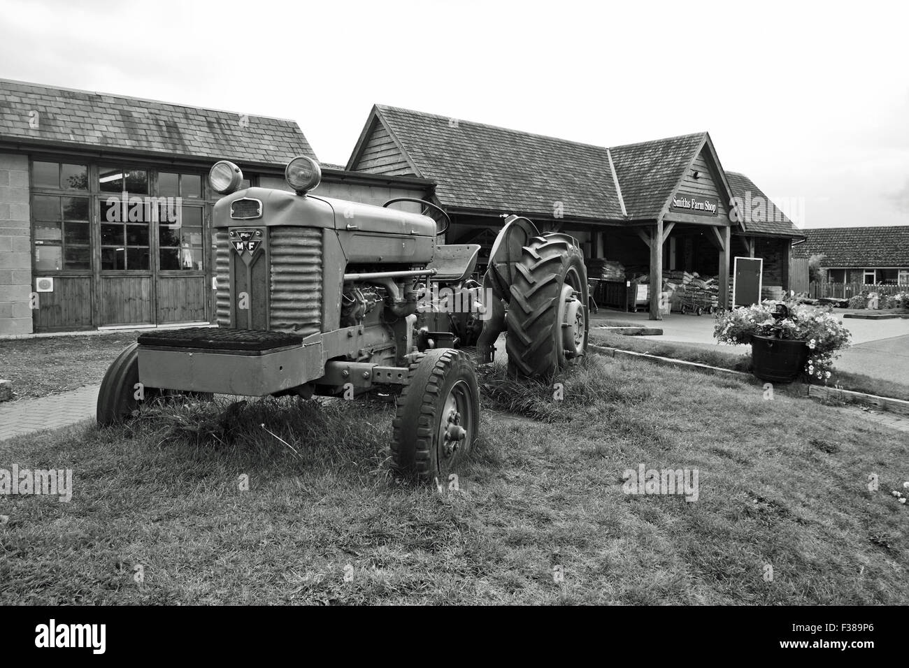 massy Ferguson tractor outside farm shop United Kingdom Stock Photo - Alamy
