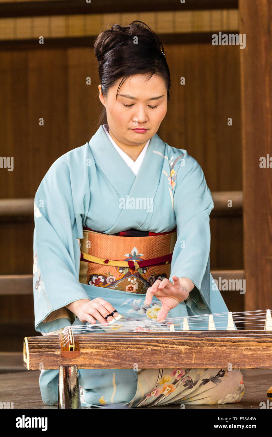 Honbuta hi-res stock photography and images - Alamy