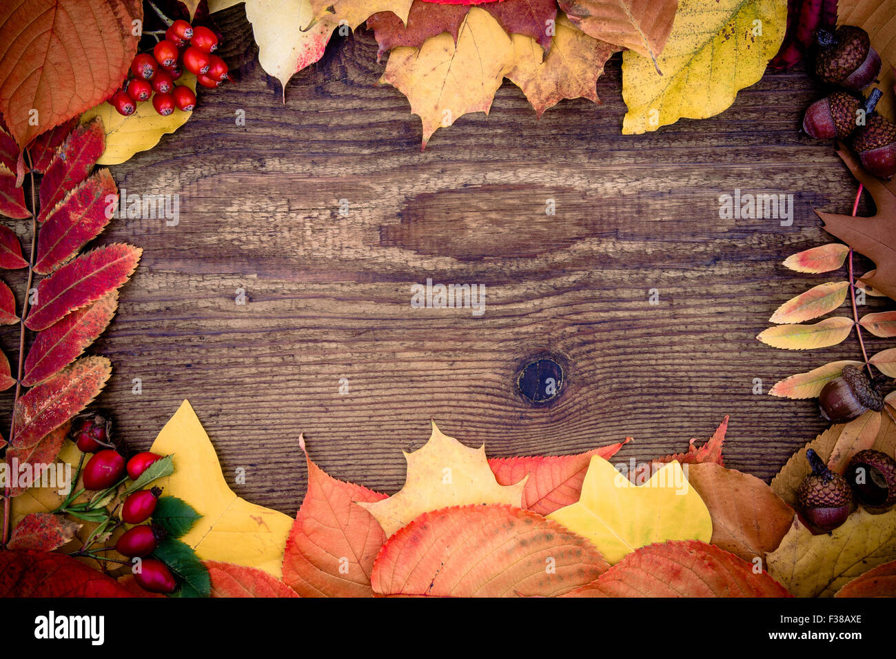 Autumn season background leaves acorns hi-res stock photography and ...