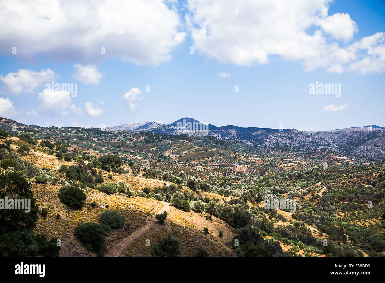 Mediterranean Crete mountain landscape in Greece with olive tree Stock ...