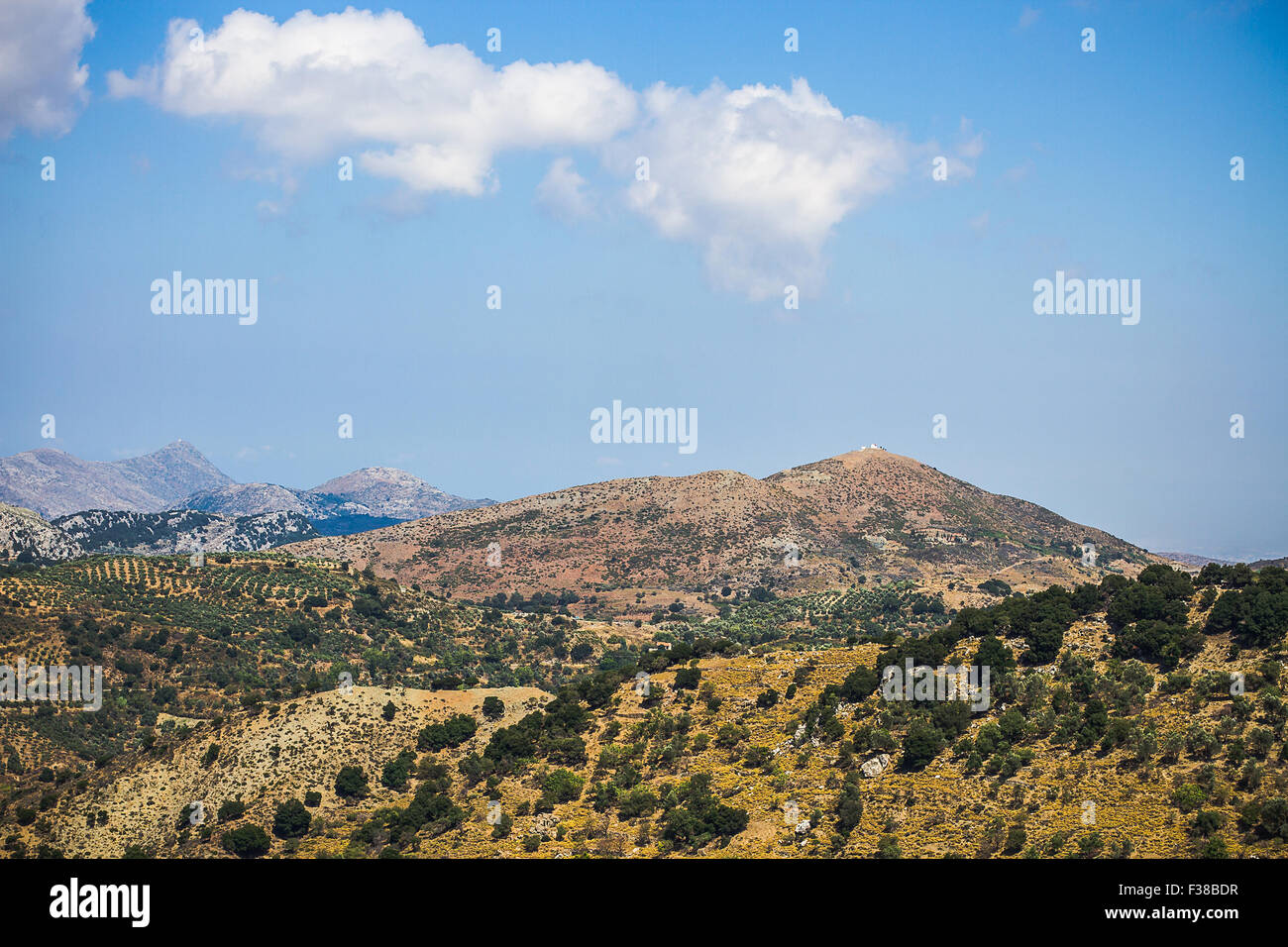 Mediterranean mountain landscape in Greece with olive tree Stock Photo ...