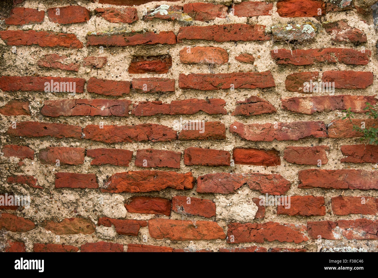 Old red brick wall Stock Photo - Alamy