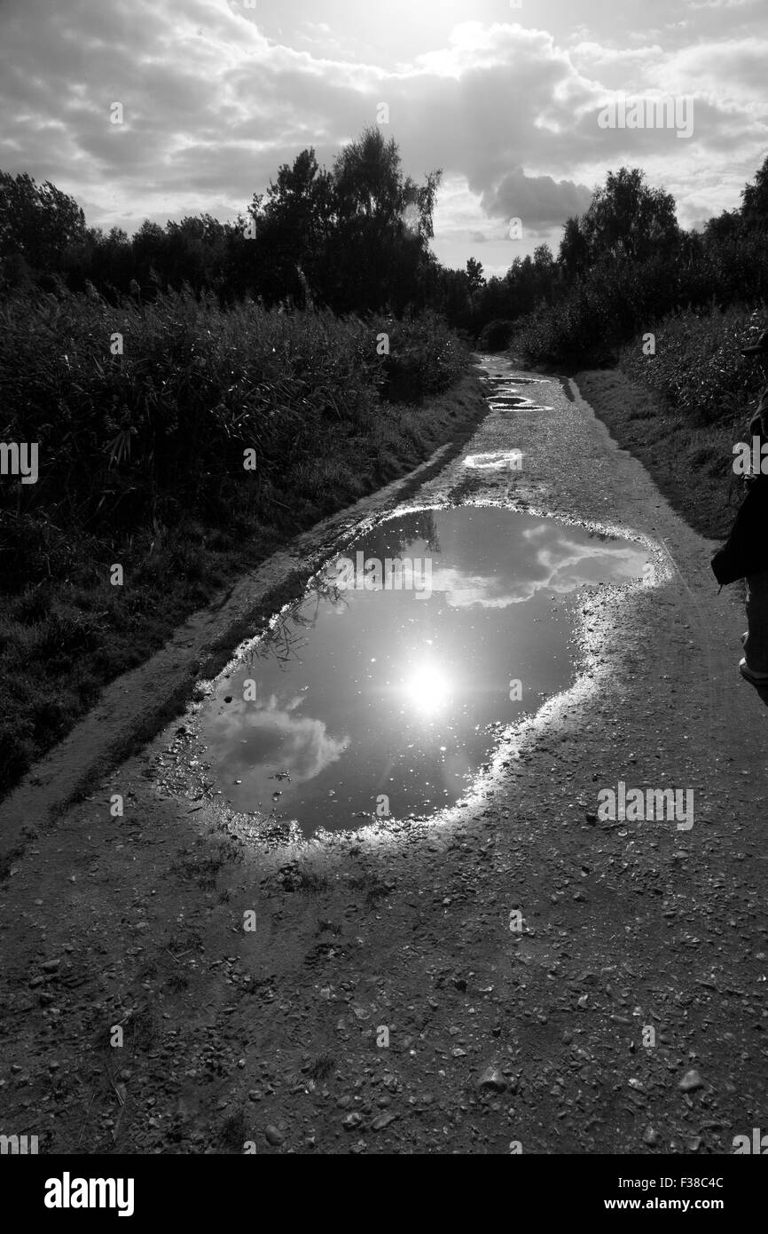 Puddle of water Stock Photo - Alamy