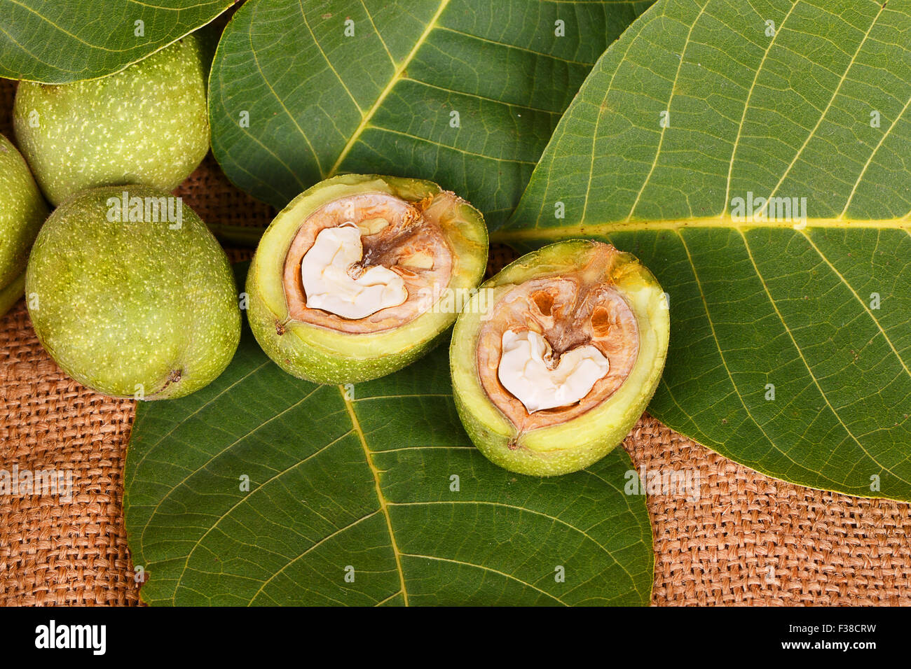 Green nuts on leaves on background of sacking Stock Photo - Alamy