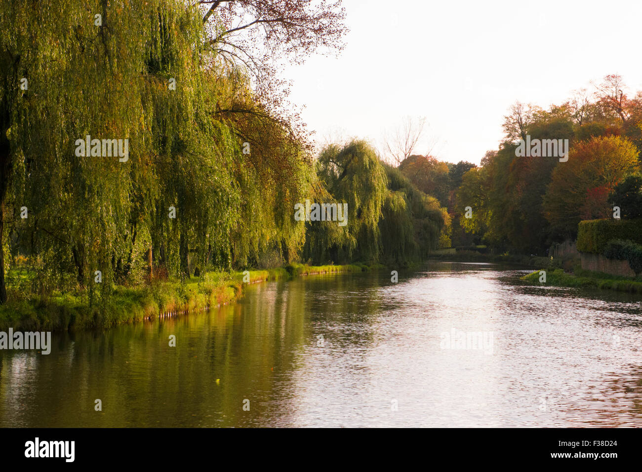 The River Wey at Guildford Surrey England in autumn Stock Photo - Alamy
