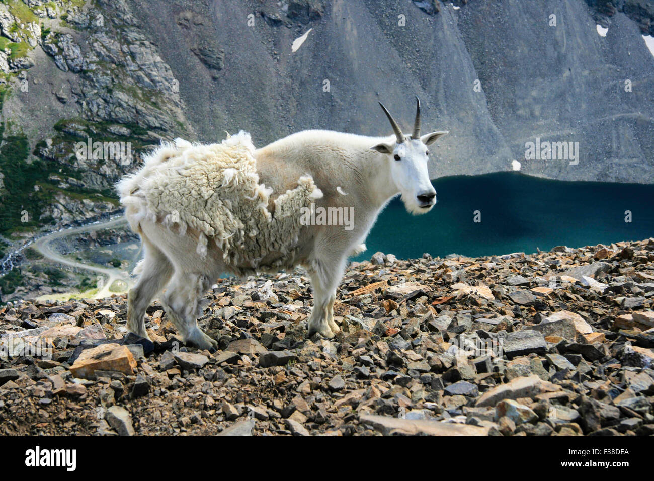 Good long hike hi-res stock photography and images - Alamy